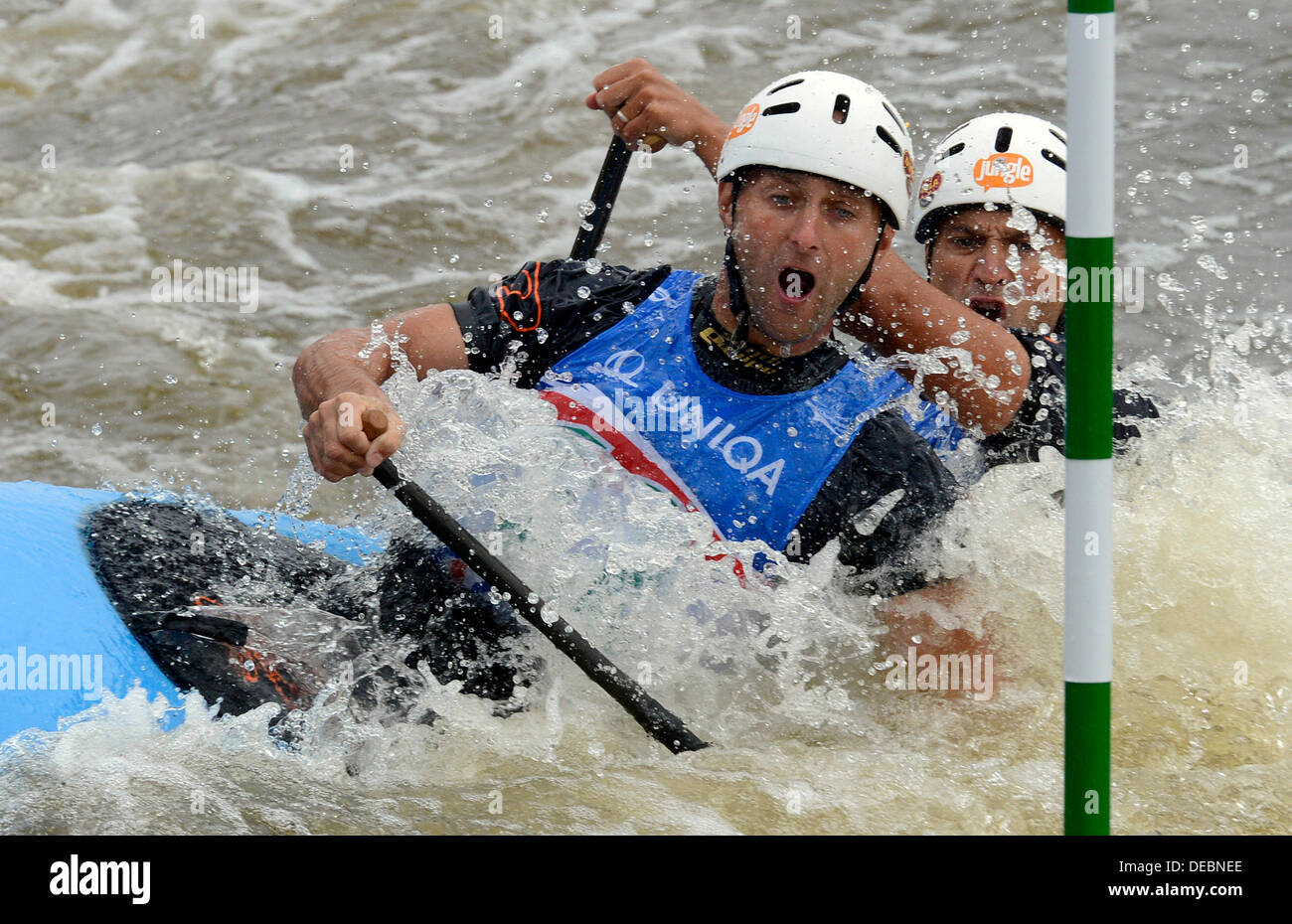 Volf High Resolution Stock Photography and Images - Alamy