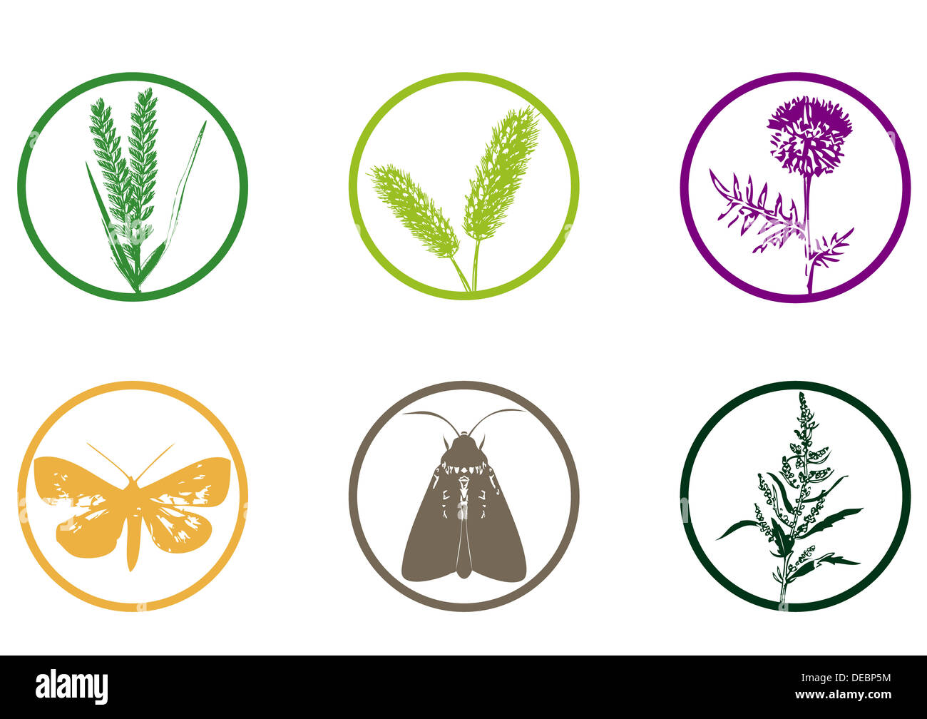 Plant & Weed Icon Set Stock Photo - Alamy