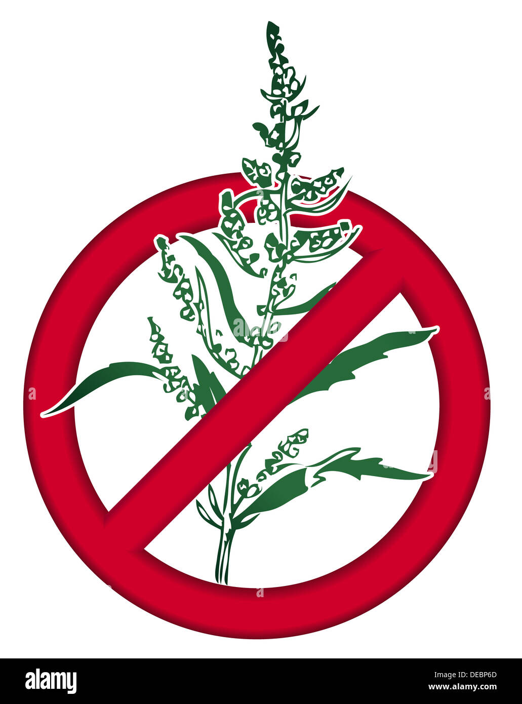 Emblem decor Cut Out Stock Images & Pictures - Alamy