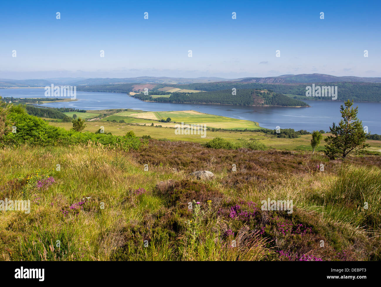 Dornoch firth from struie hill hi-res stock photography and images - Alamy
