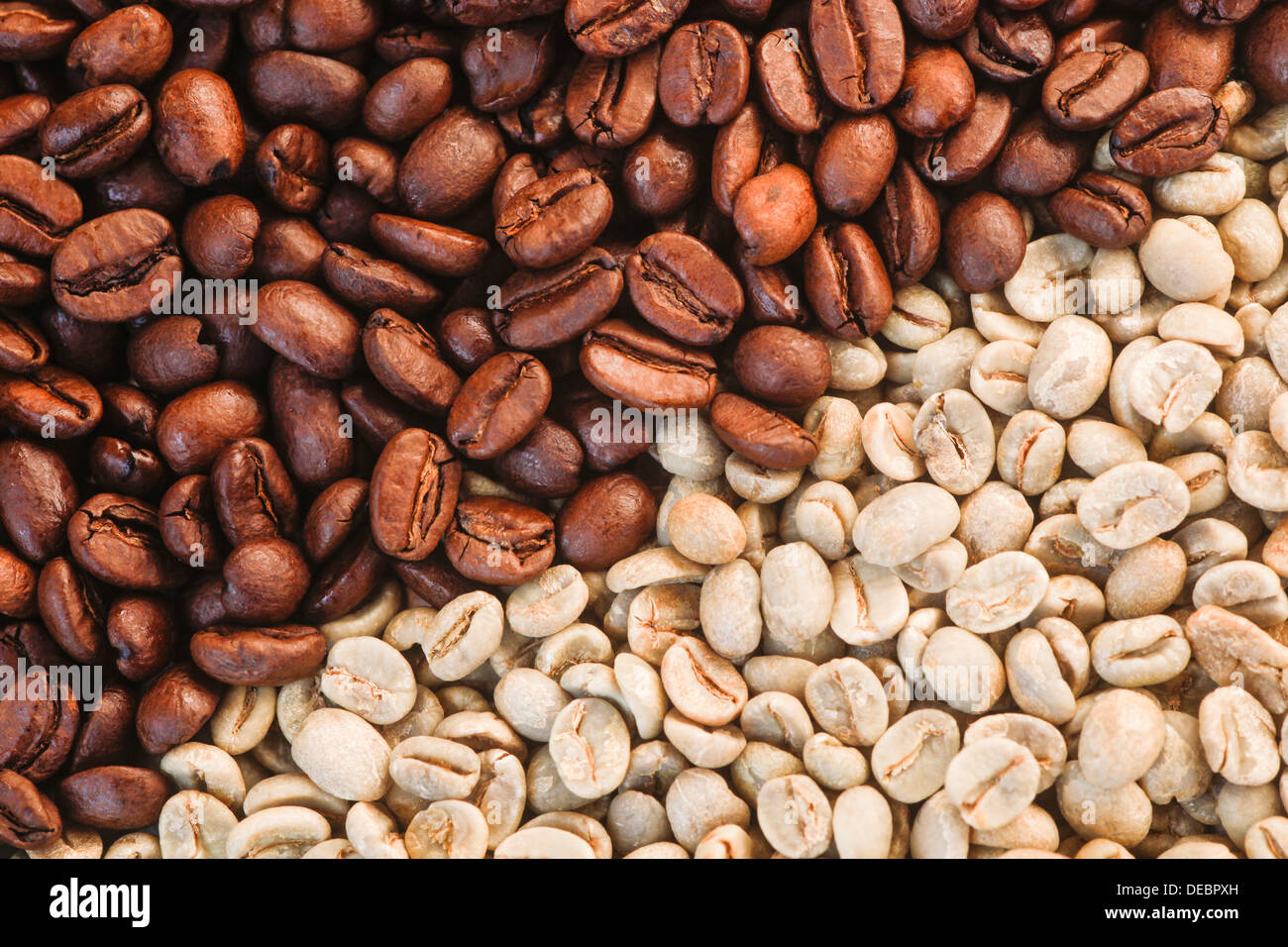 Coffee beans, roasted and unroasted, Germany Stock Photo - Alamy