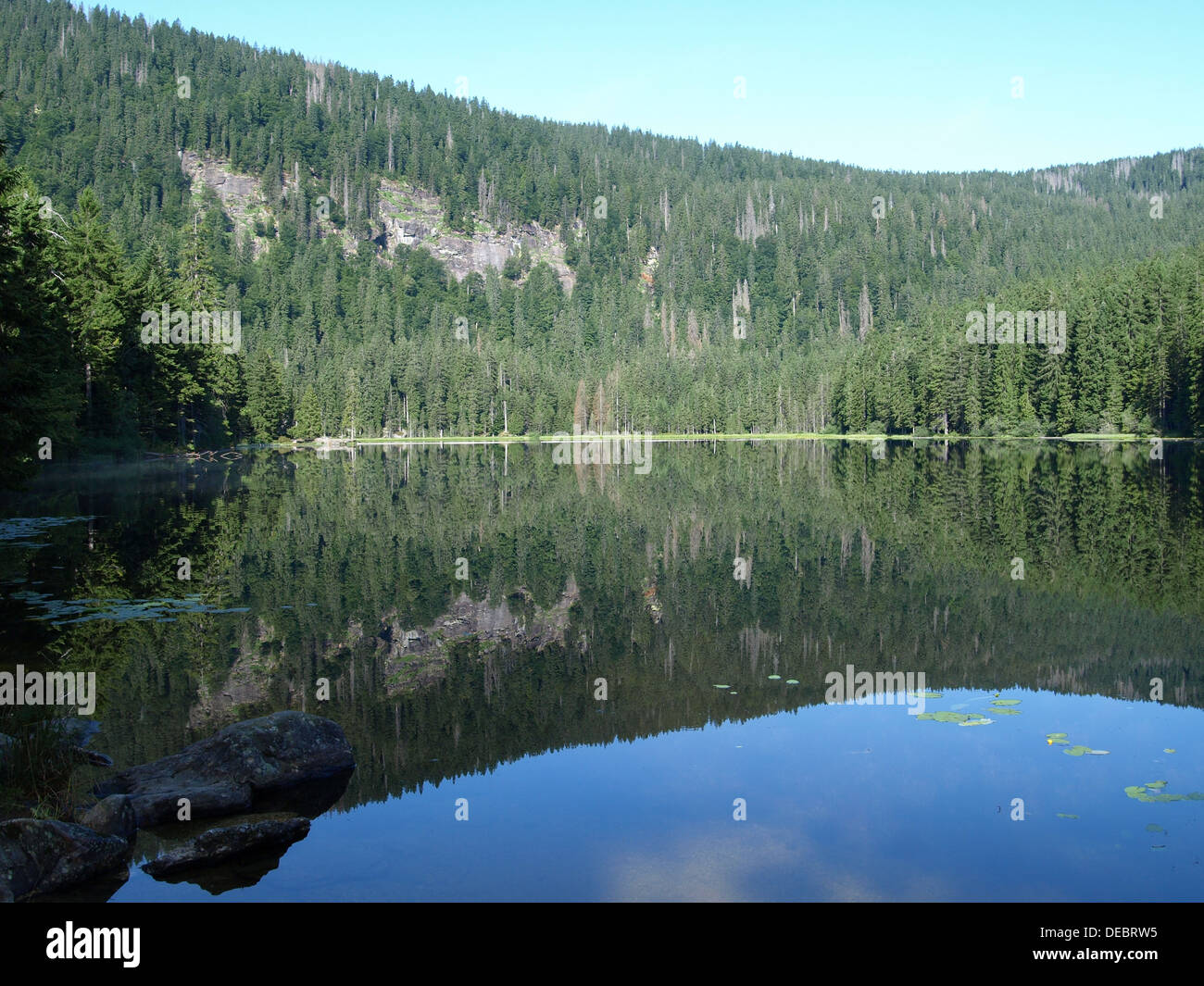 Great Arber lake at Bavarian Forest, Bavaria, Germany / Großer Arbersee ...