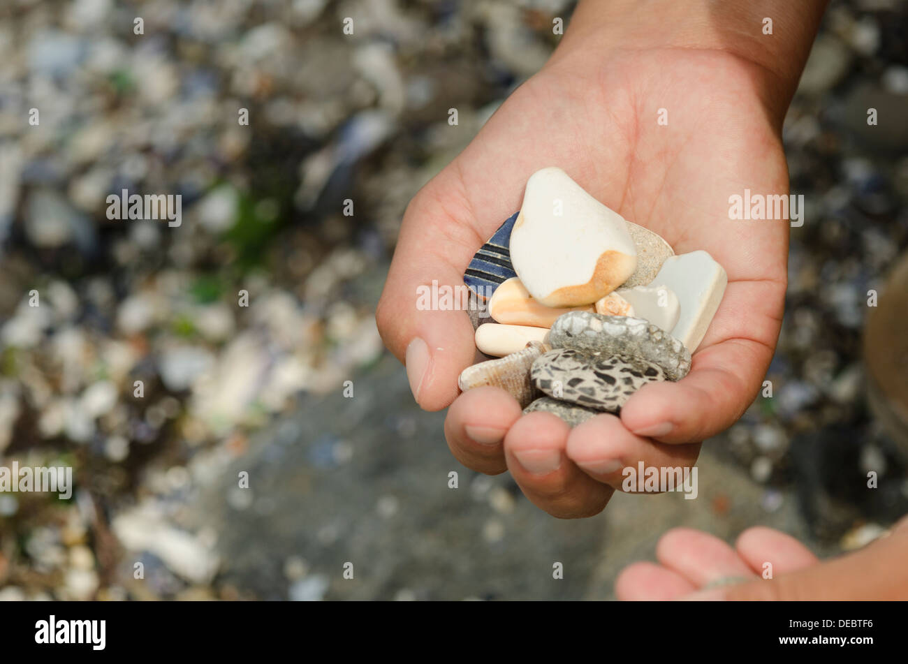 colourful pebbles in woman's hand Stock Photo - Alamy