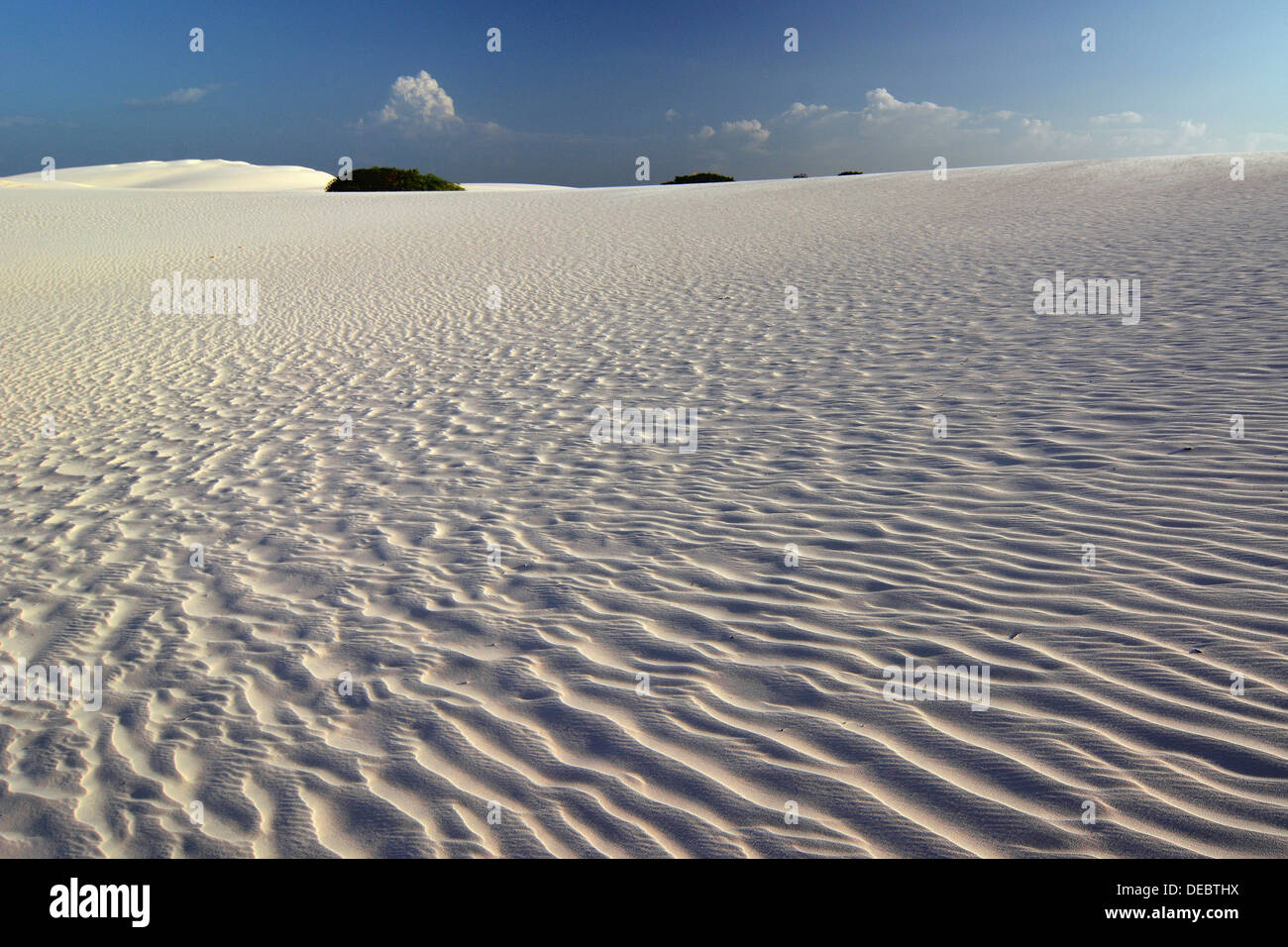 Desert, Lençóis Maranhenses, Lençóis Maranhenses, Barreirinhas ...