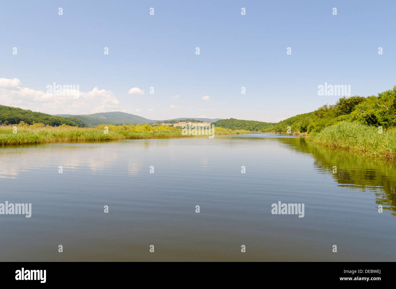 Ropotamo nature reserve hi-res stock photography and images - Alamy
