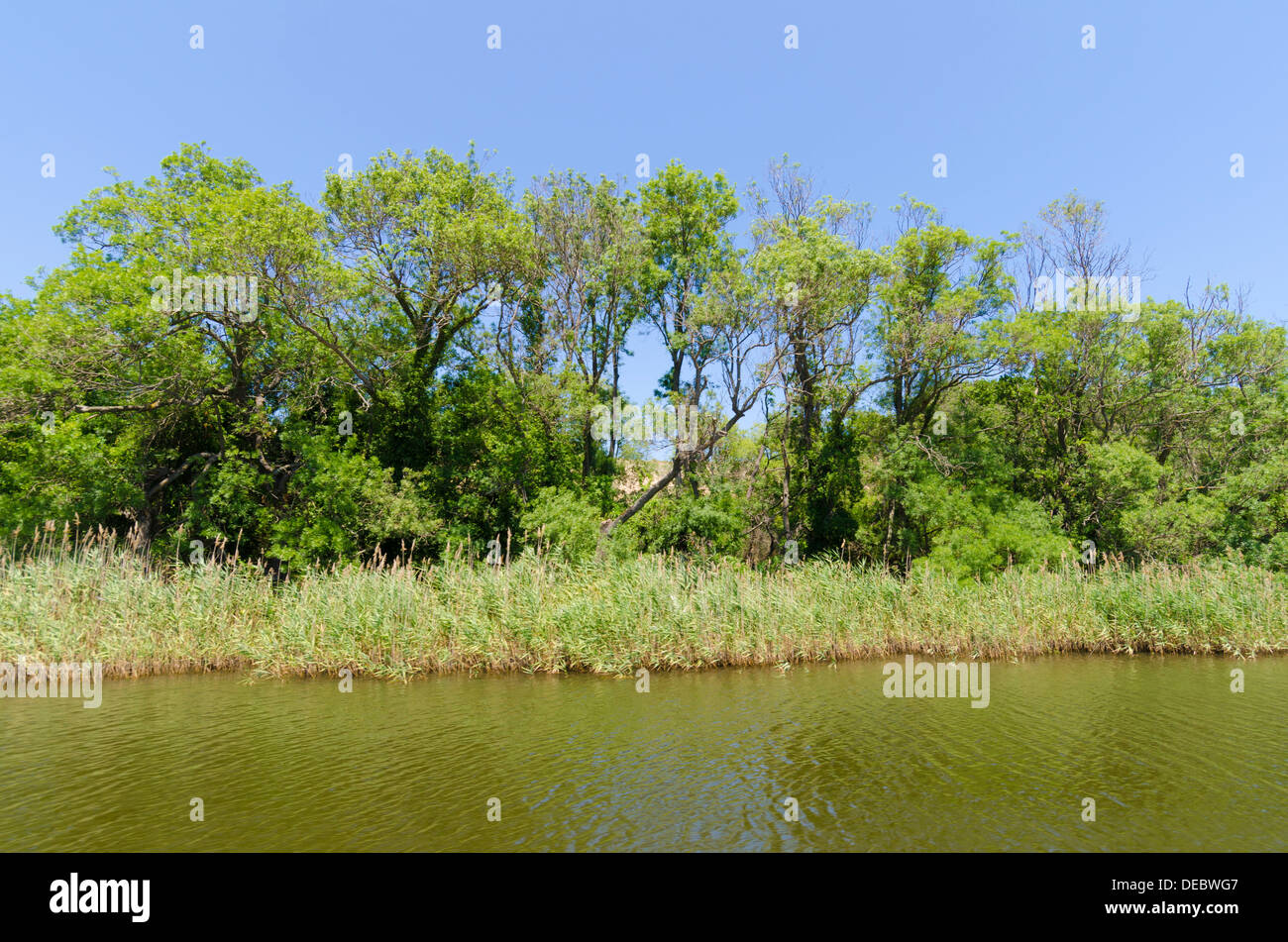 Ropotamo nature reserve hi-res stock photography and images - Alamy