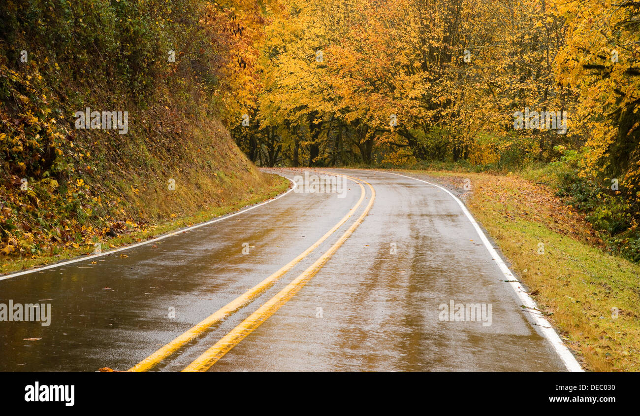 Wet environment road hi-res stock photography and images - Alamy