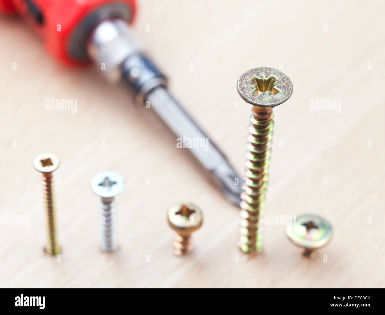 screwdriver and several screws wrapped in wooden plank close up Stock ...