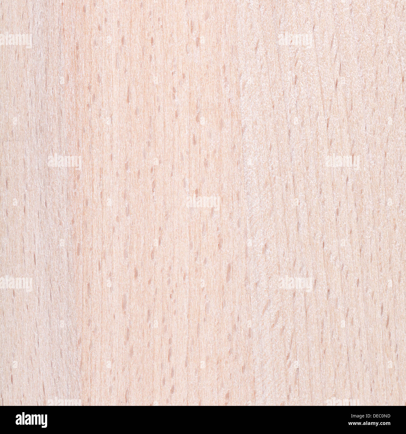 beech wood furniture board close up background Stock Photo - Alamy