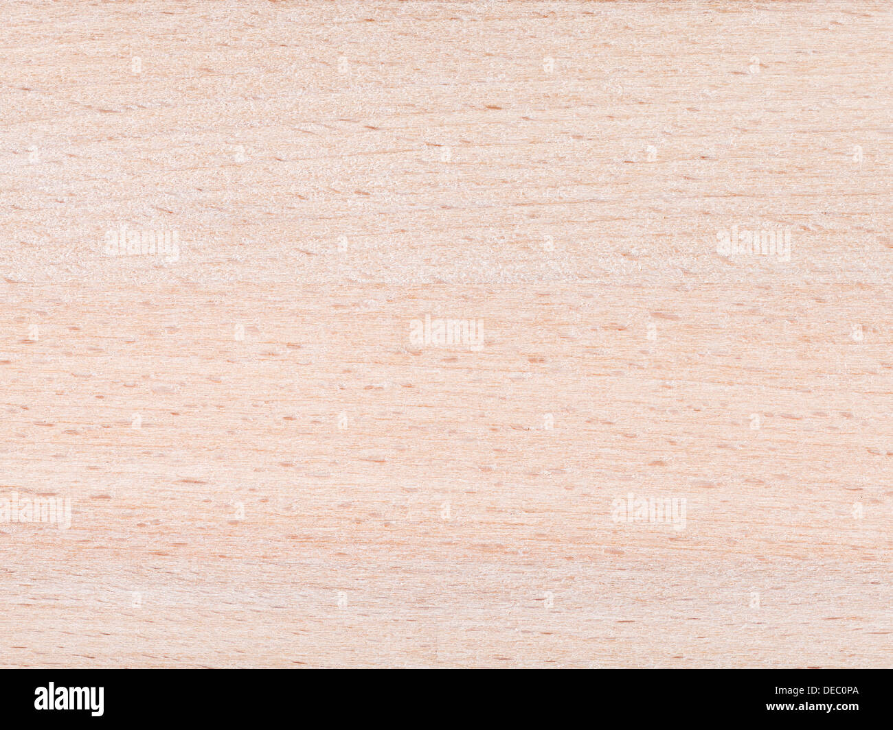 beech wood furniture panel close up background Stock Photo - Alamy