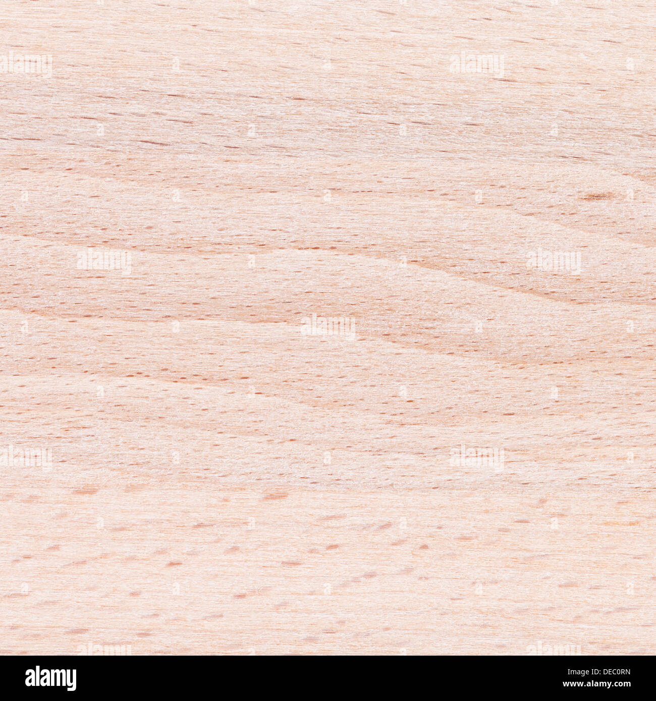 beech wooden furniture panel close up background Stock Photo - Alamy