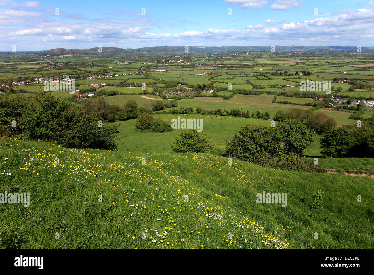 Summer view over the Somerset Levels, Somerset County, England, UK ...