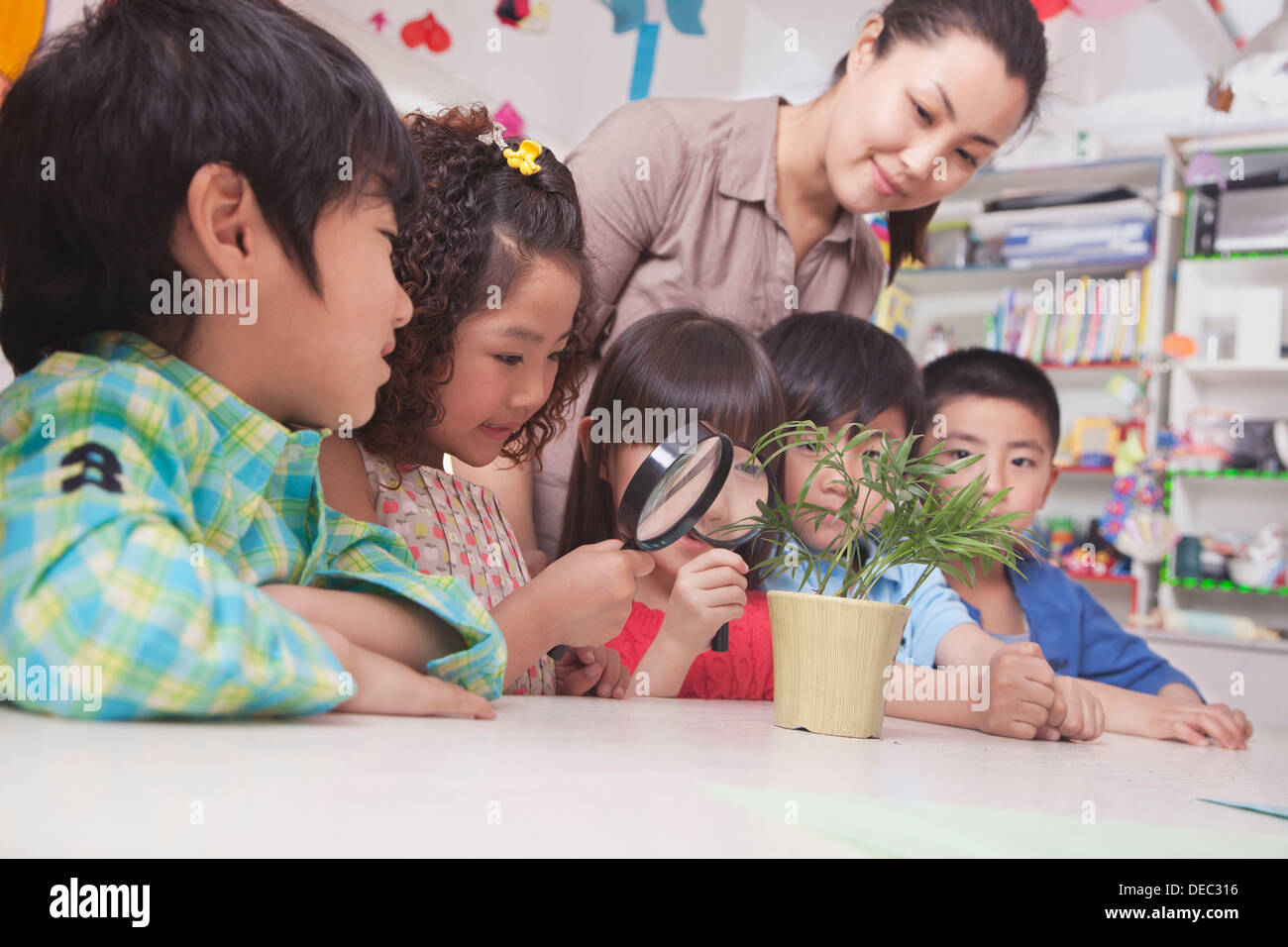 Students Looking at Plant with a Magnifying Glass Stock Photo - Alamy