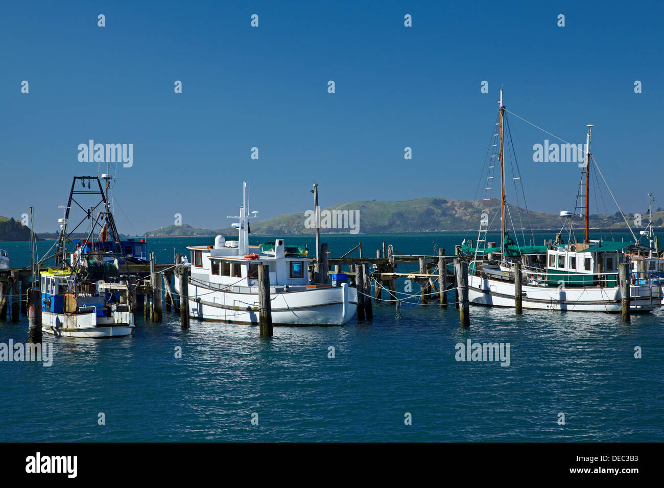 Fishing boats, Careys Bay, Port Chalmers, Dunedin, Otago, South Island ...