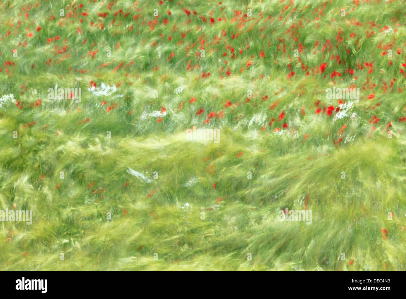 Wavelike motion hi-res stock photography and images - Alamy