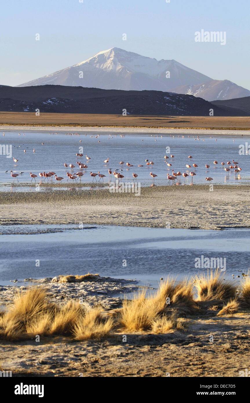 Nor lipez province hi-res stock photography and images - Alamy