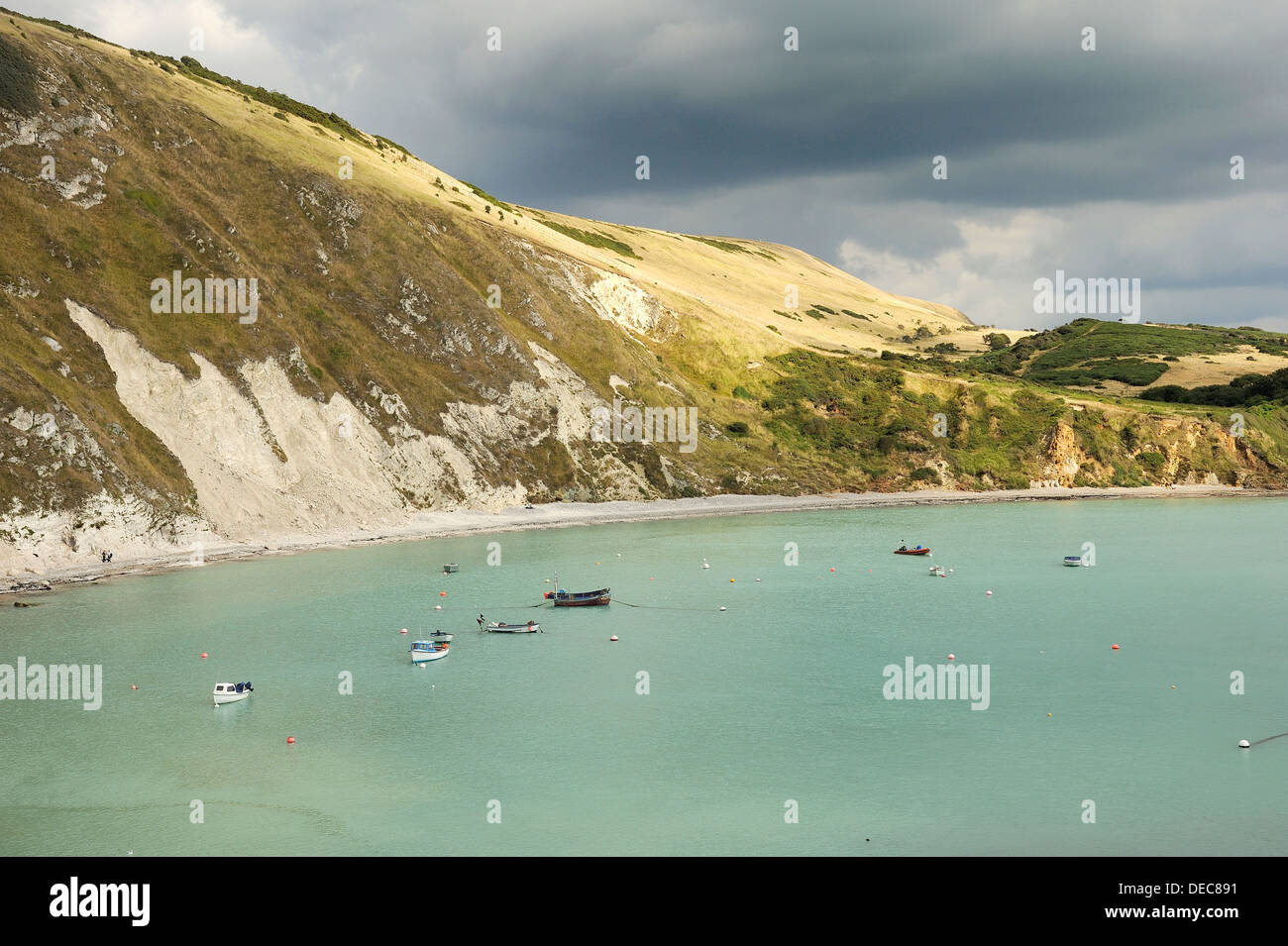 Jurrasic coast england hi-res stock photography and images - Alamy