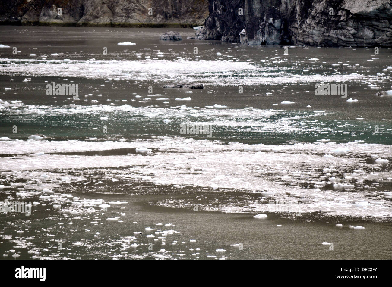Icebergs float along the water Stock Photo - Alamy