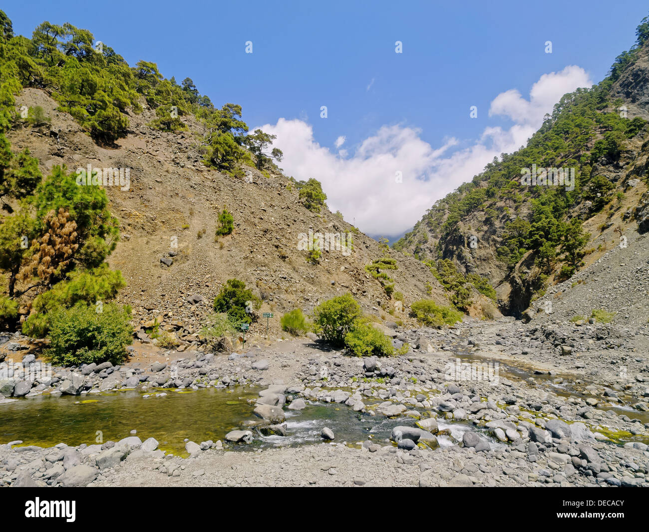 Rocky landscape of the National Park Caldera de Taburiente on La Palma ...