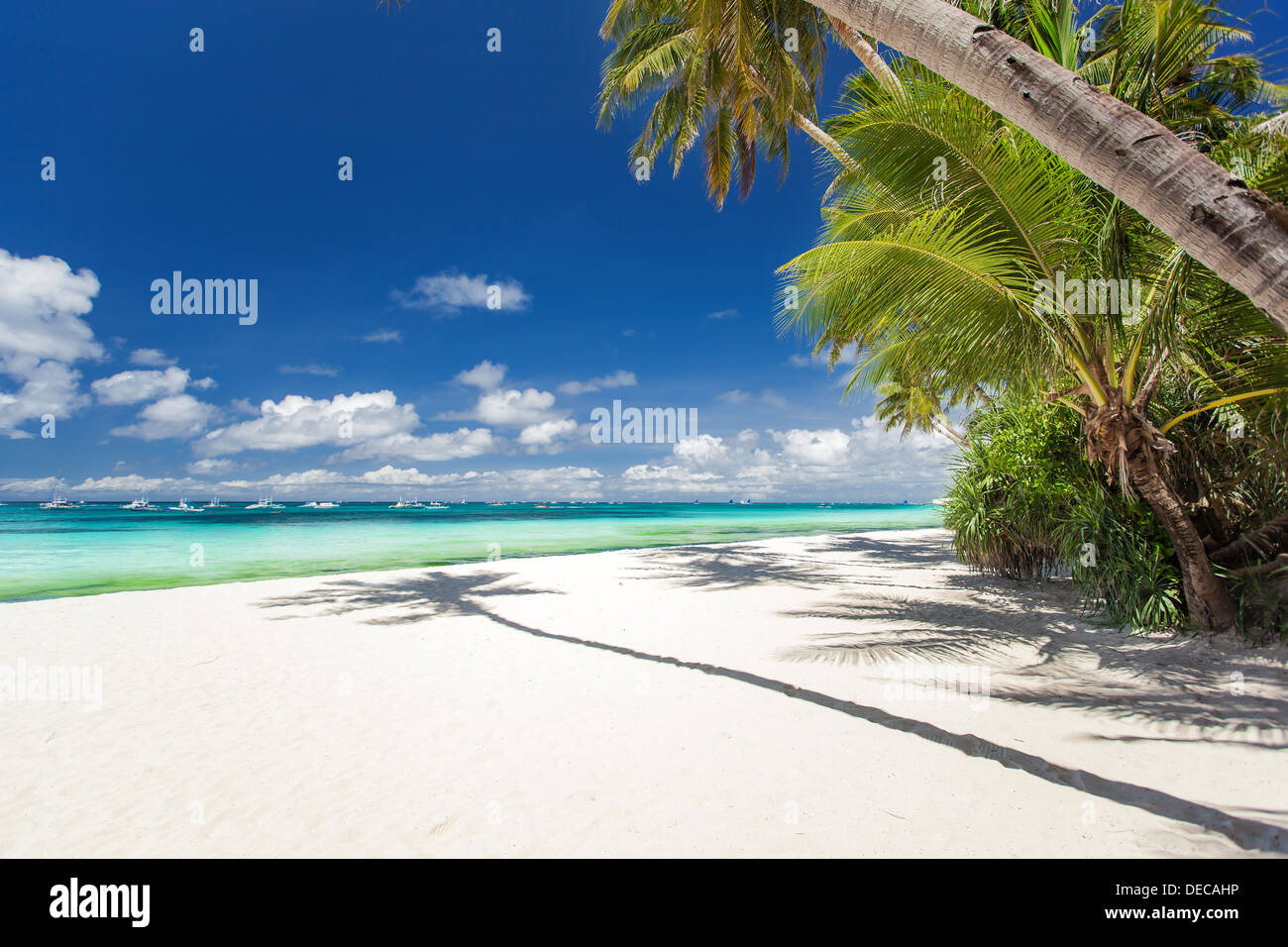 Tropical beach with palm and white sand, Philippines Stock Photo - Alamy