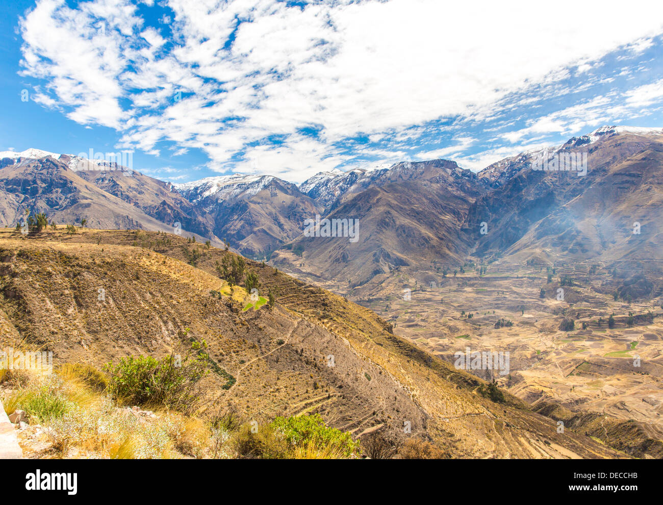Colca Canyon Peru South America. The Incas to build Farming terraces ...