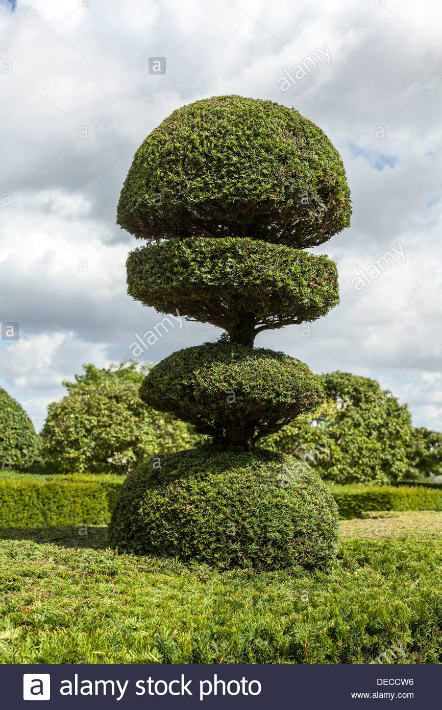 Topiary Hedge Stock Photos & Topiary Hedge Stock Images - Alamy