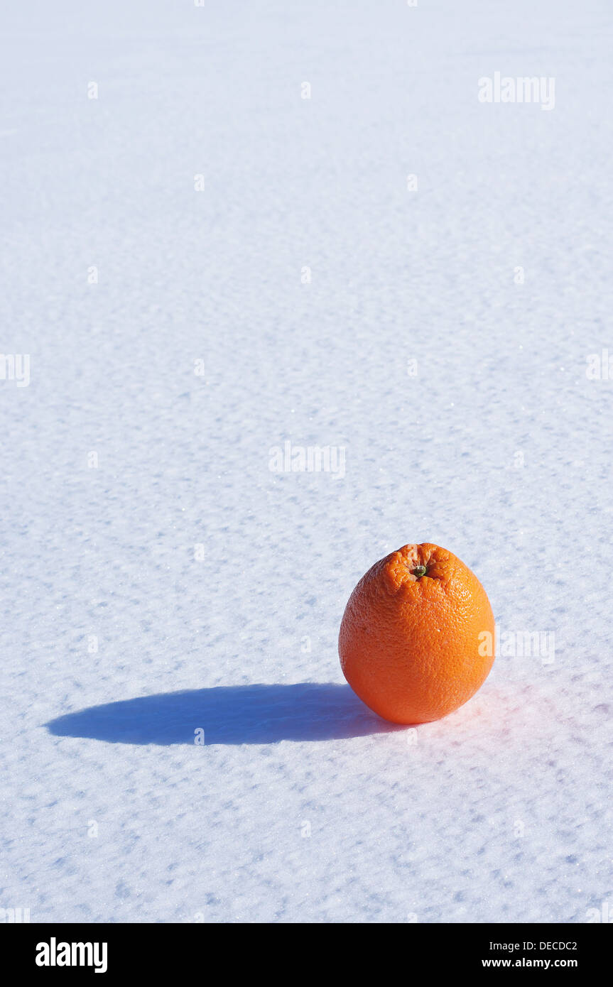 Orange in the snow on a sunny day Stock Photo - Alamy