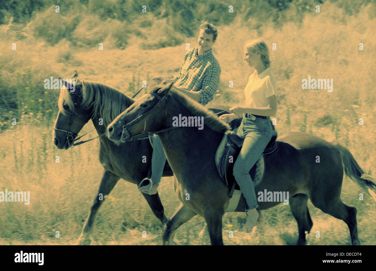 Best mate horse hi-res stock photography and images - Alamy