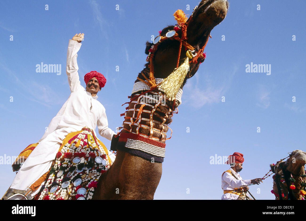 Indian man winner hi-res stock photography and images - Alamy