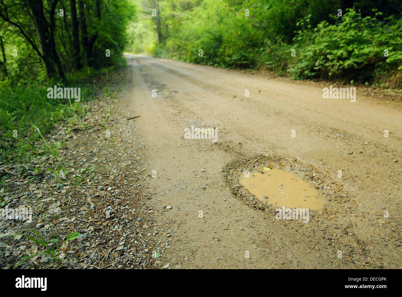 Poor nature hi-res stock photography and images - Alamy