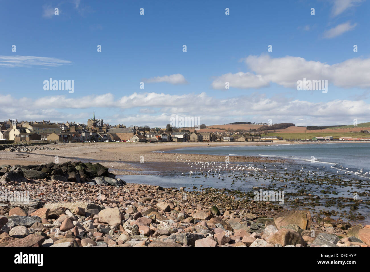 Stonehaven Bay High Resolution Stock Photography and Images - Alamy