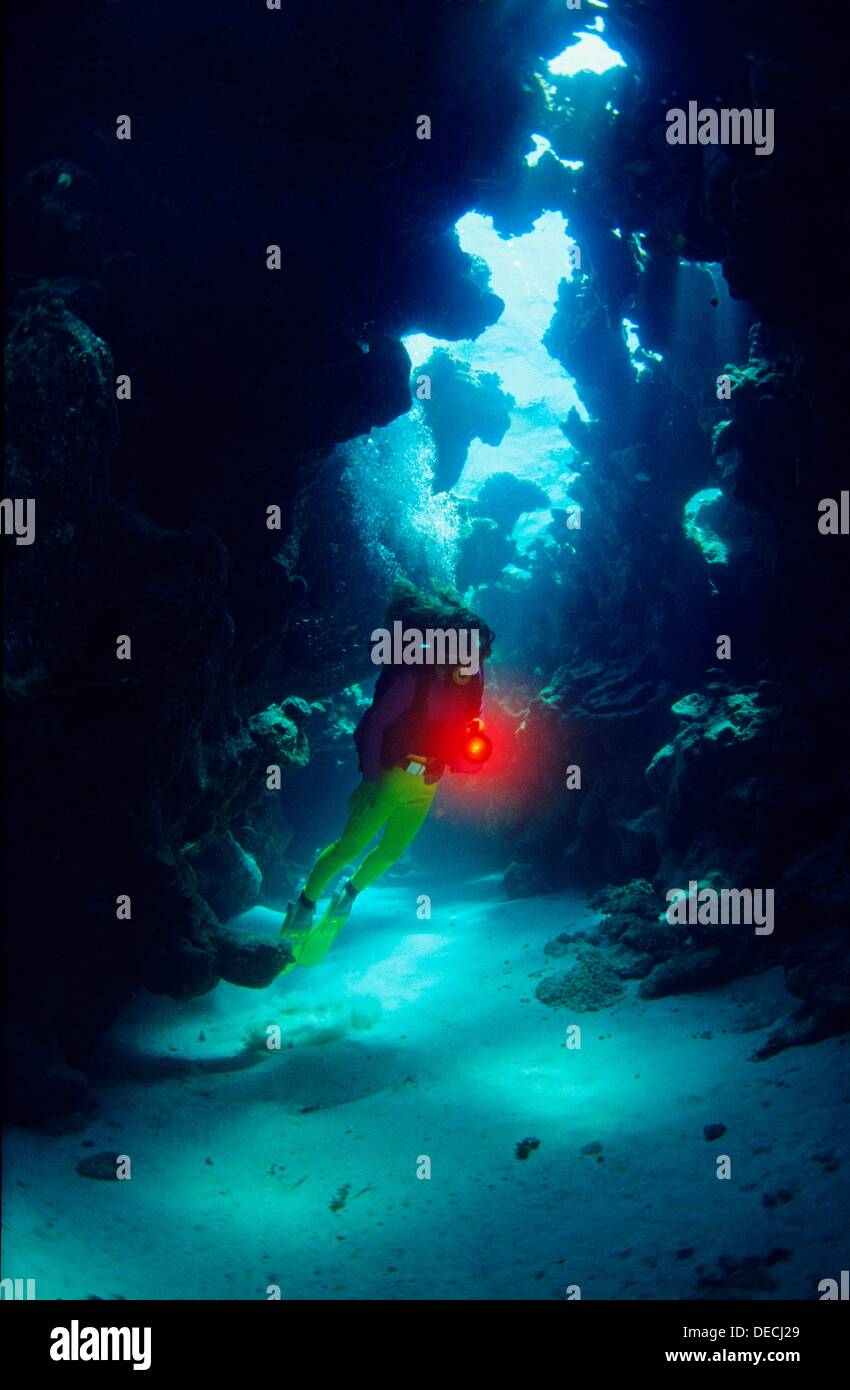 Diving in Red Sea, Hurghada, Egypt Stock Photo - Alamy