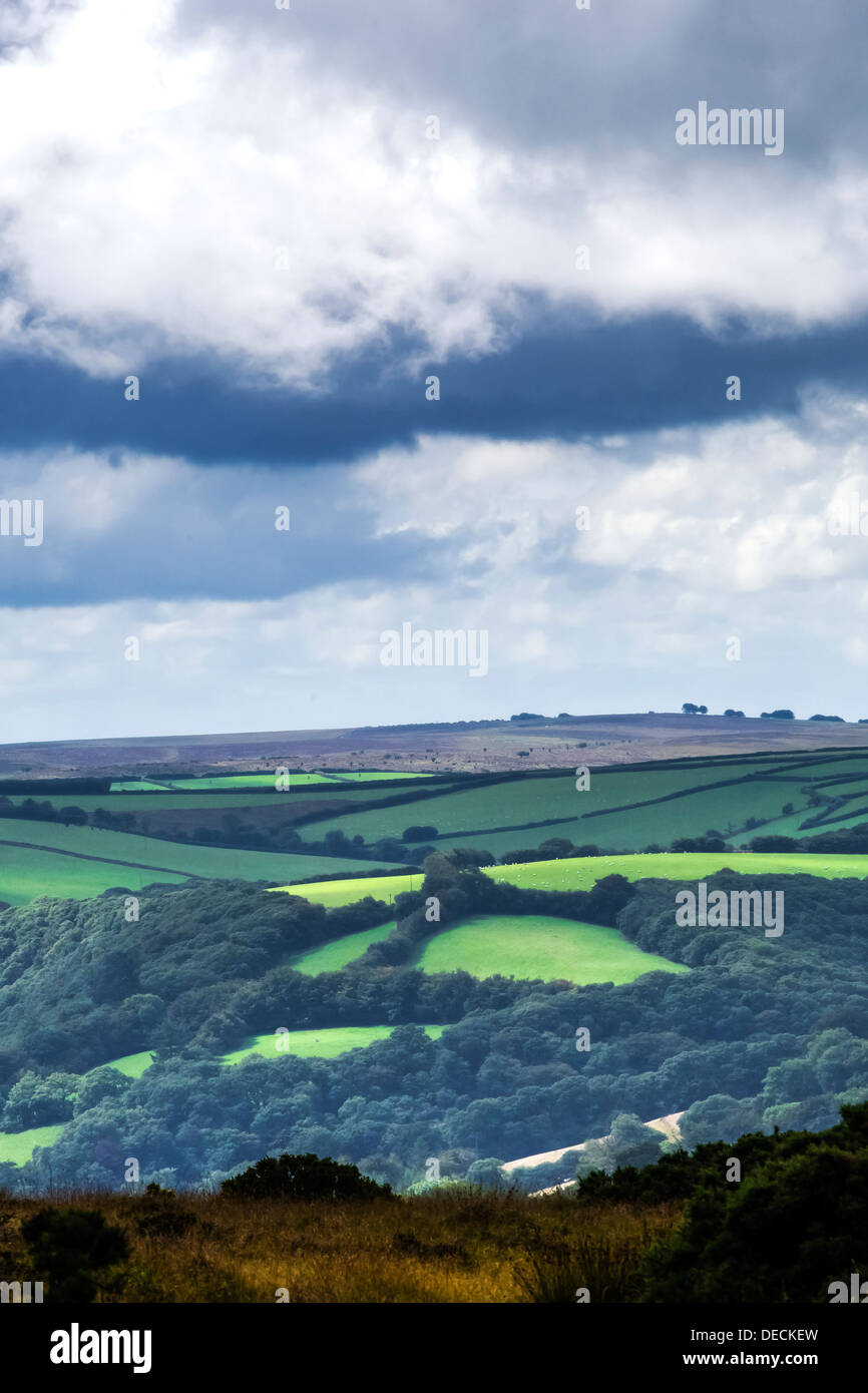 Typical View of Exmoor Stock Photo - Alamy