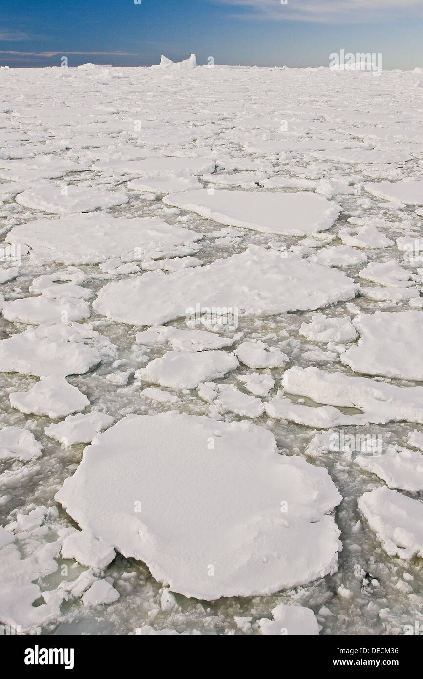 Antarctic Ice Shelf Melt High Resolution Stock Photography and Images ...
