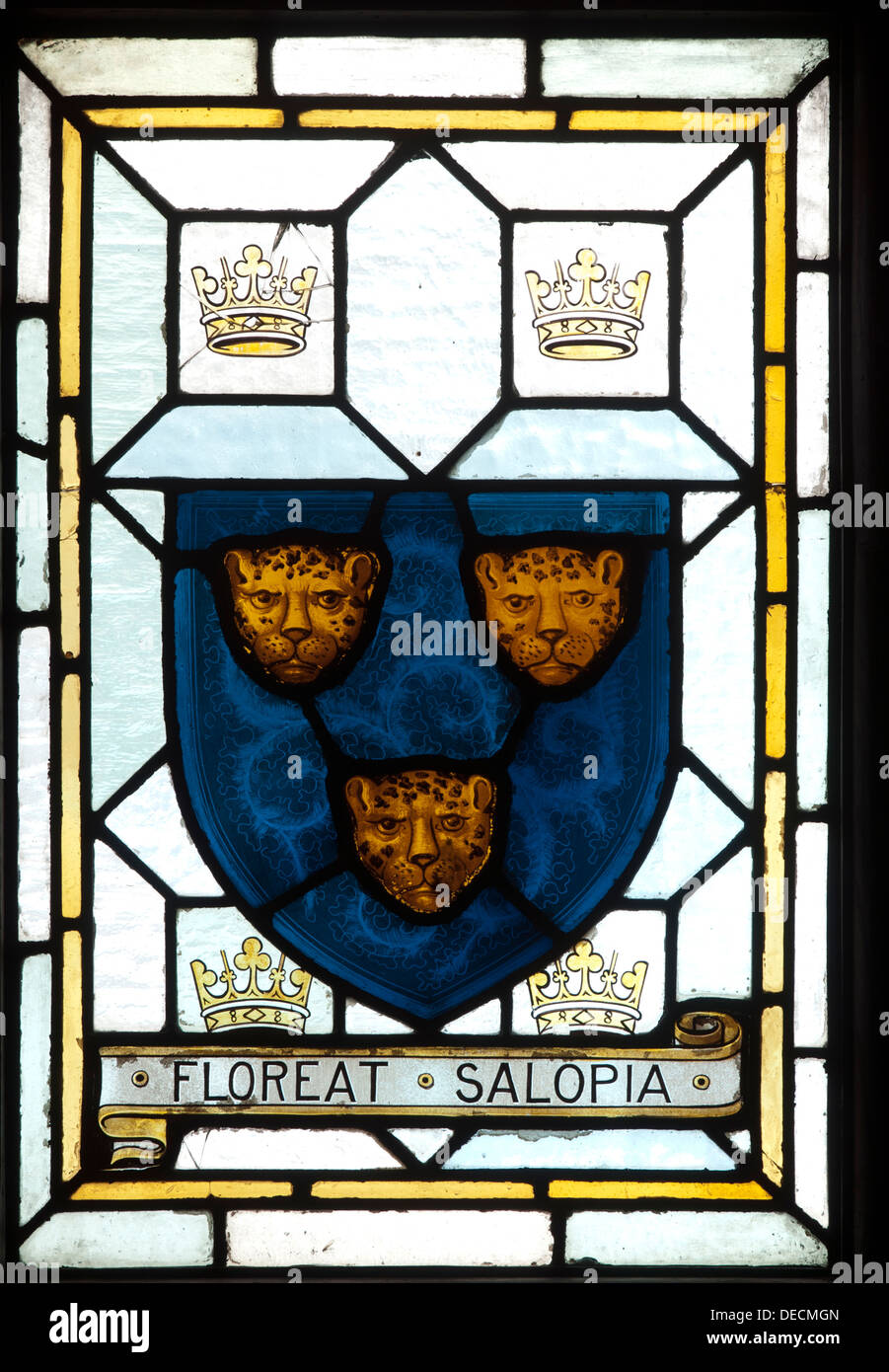 Floreat salopia hi-res stock photography and images - Alamy