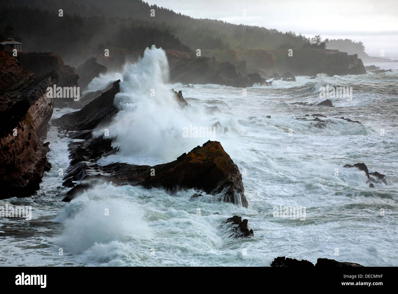 OREGON - Stormy day at Shore Acres State Park Stock Photo - Alamy