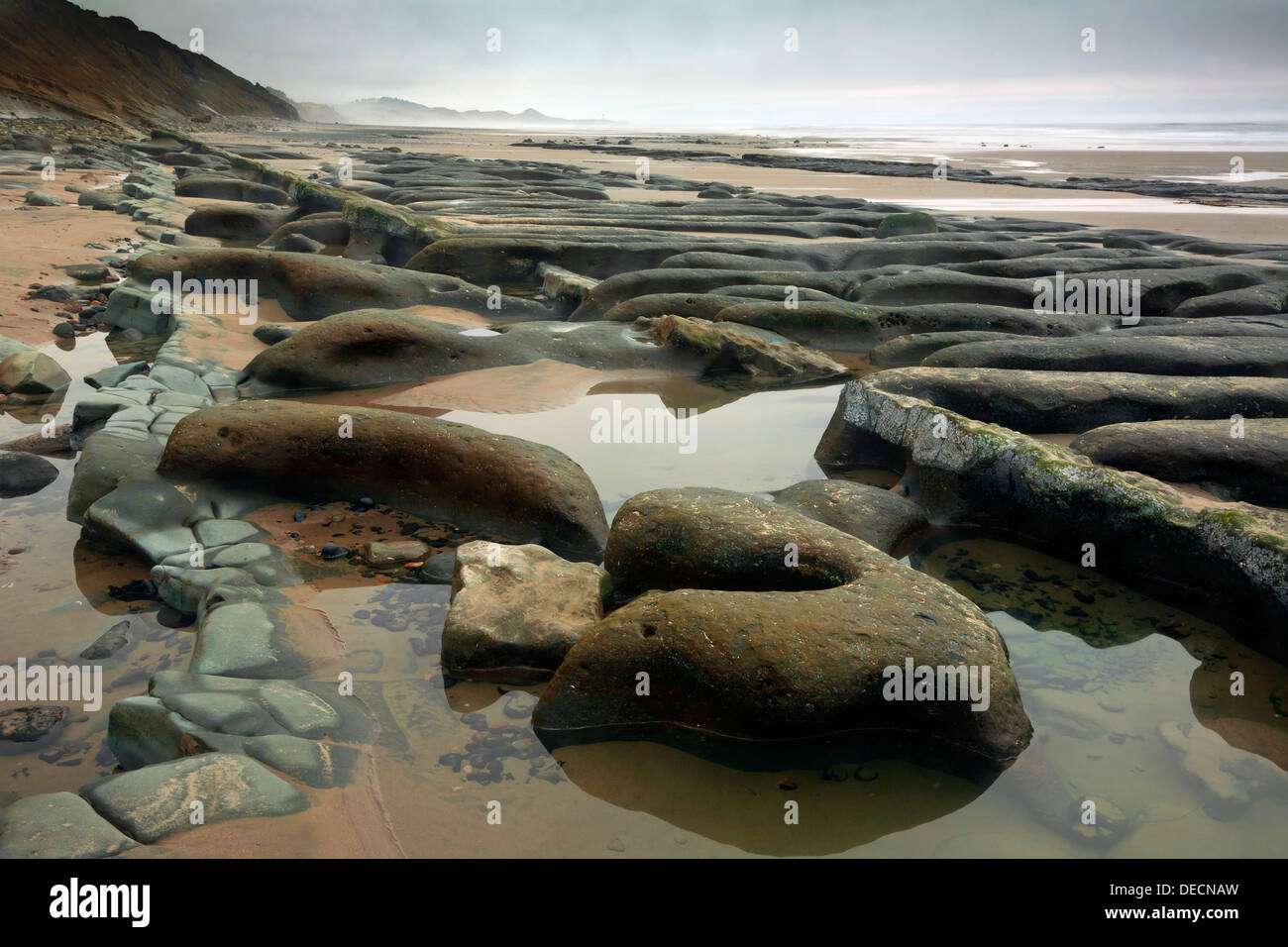 Beverly Beach State Park