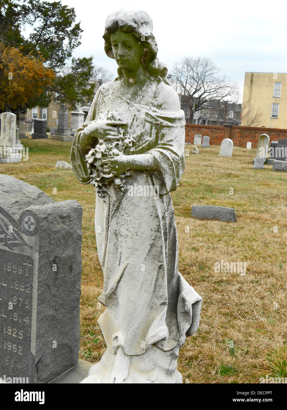 Historic congressional cemetery hi-res stock photography and images - Alamy