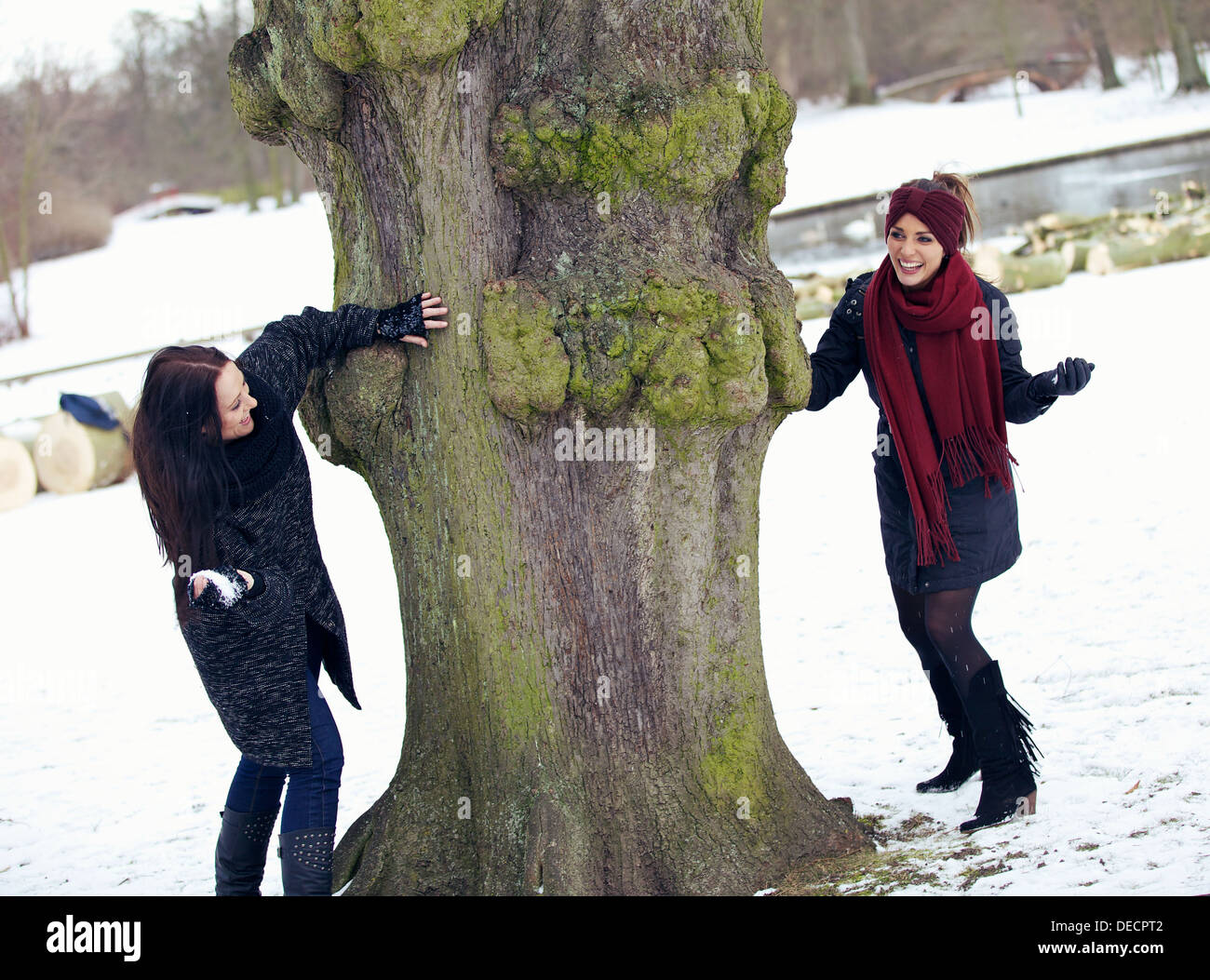 Throwing snowballs hi-res stock photography and images - Alamy