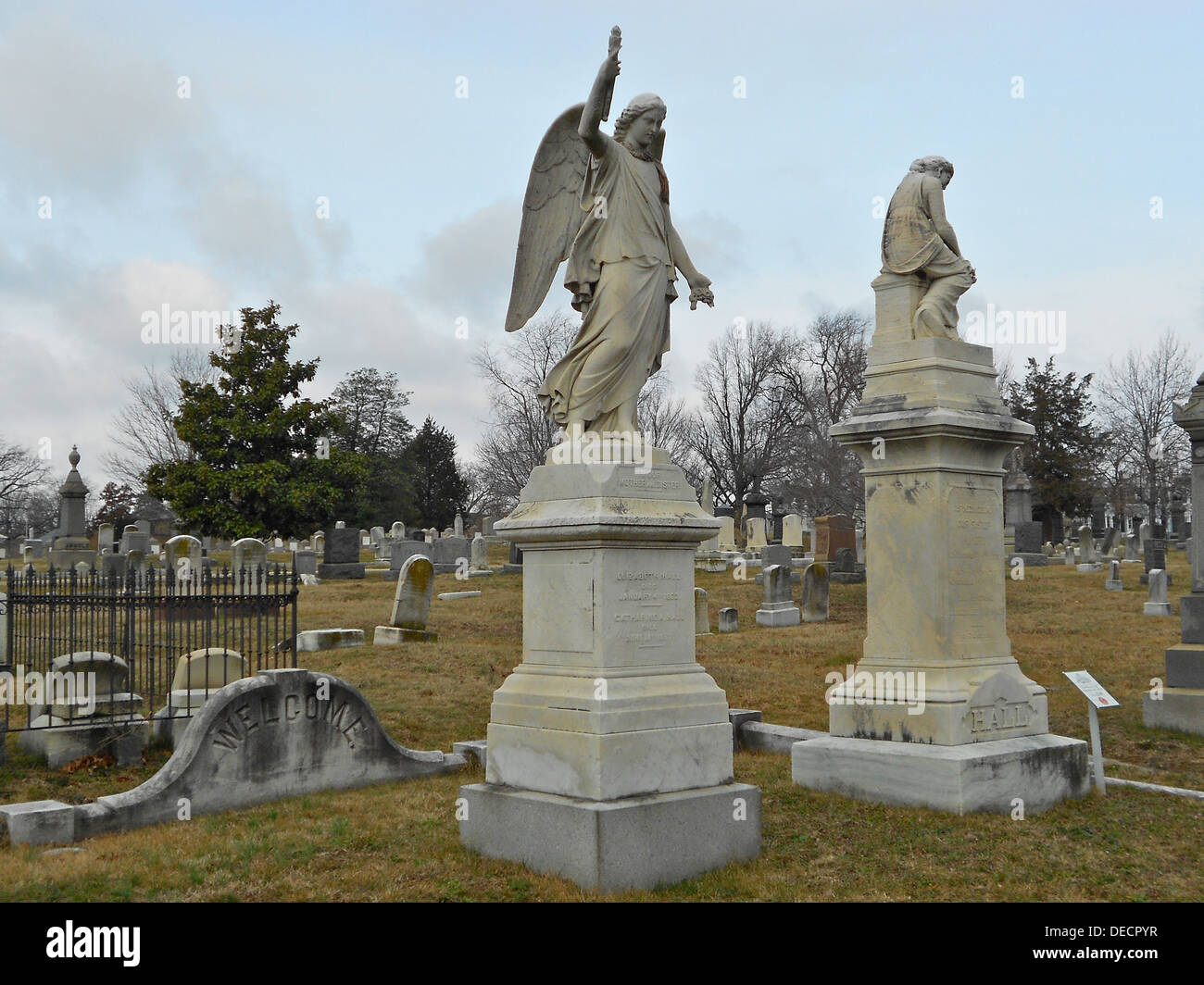 The graves of Elizabeth and Mary Ann Hall, located in the Congressional ...