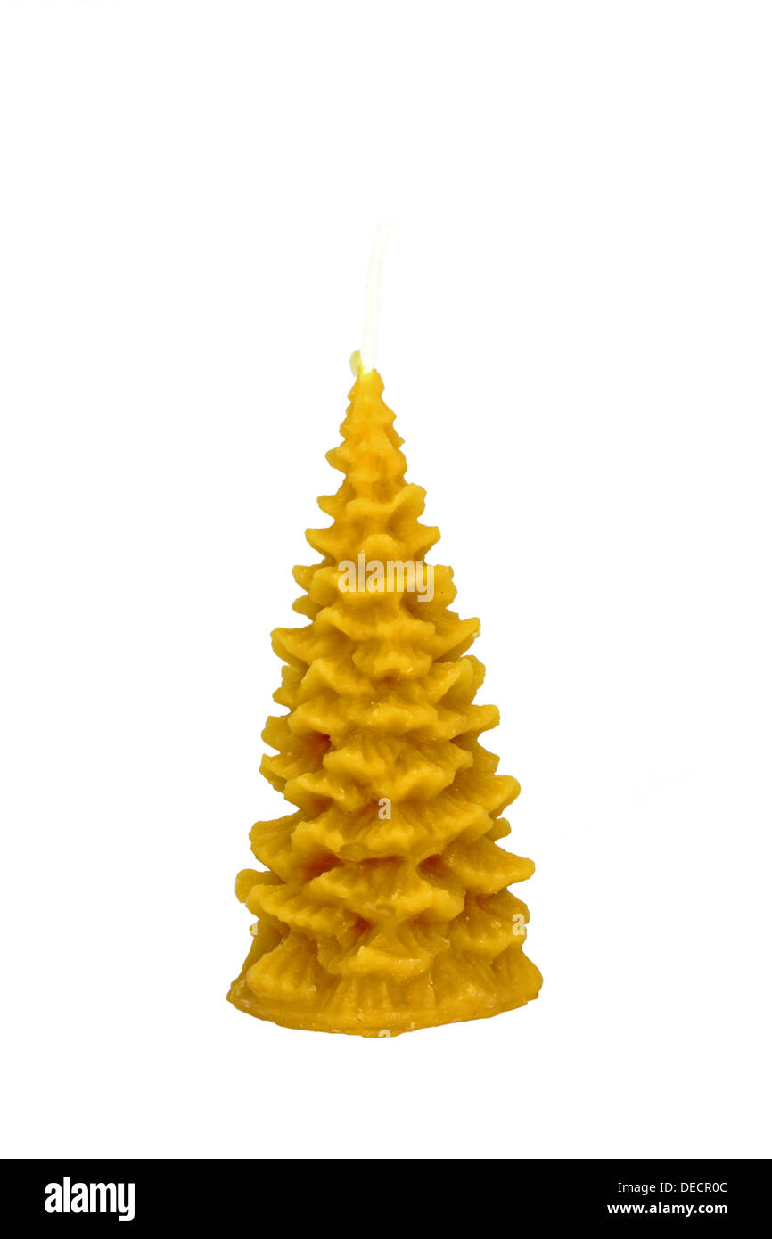 Tree burning in fire Cut Out Stock Images & Pictures - Alamy