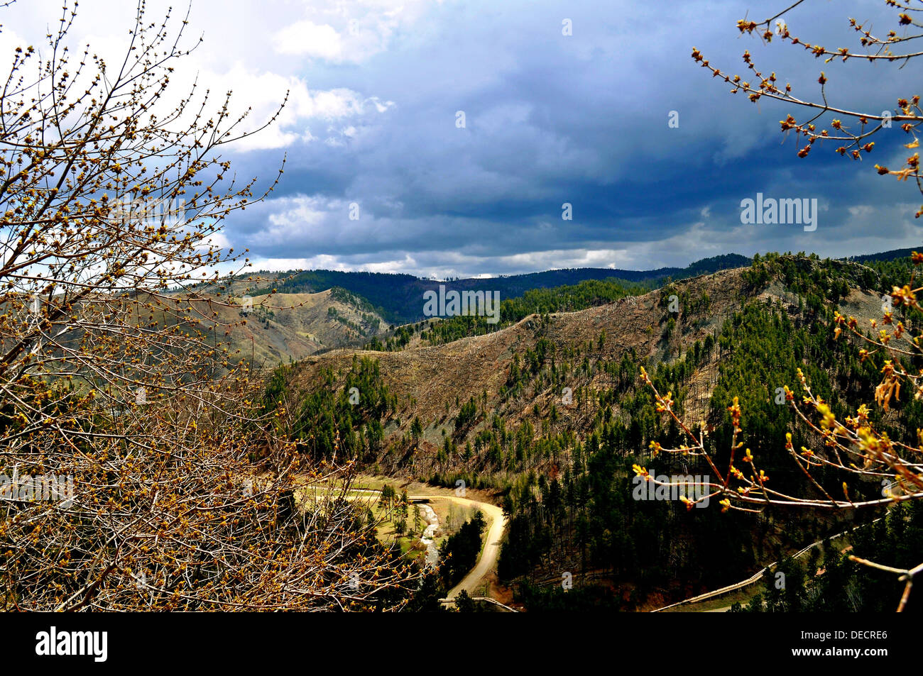 Black Hills South Dakota Stock Photo - Alamy