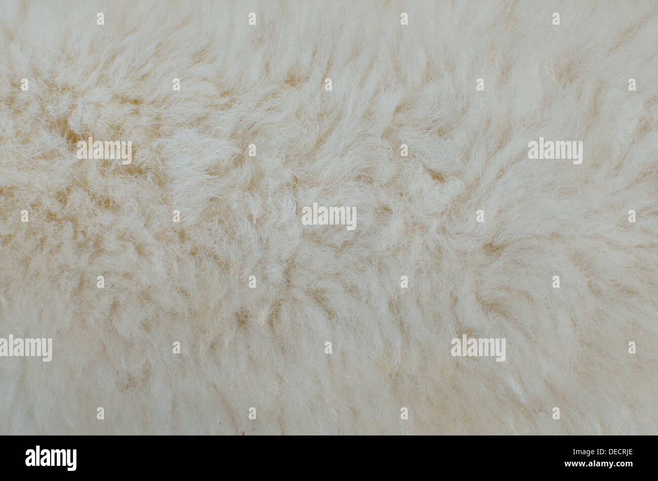 wool sheep background Stock Photo - Alamy