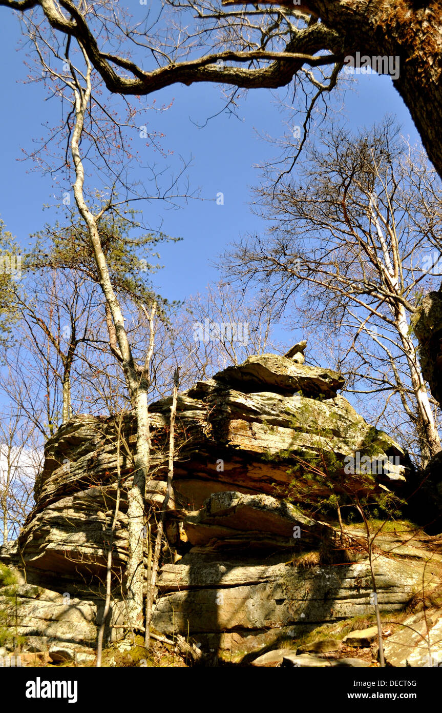 Boulder and tree at Point Park Stock Photo - Alamy