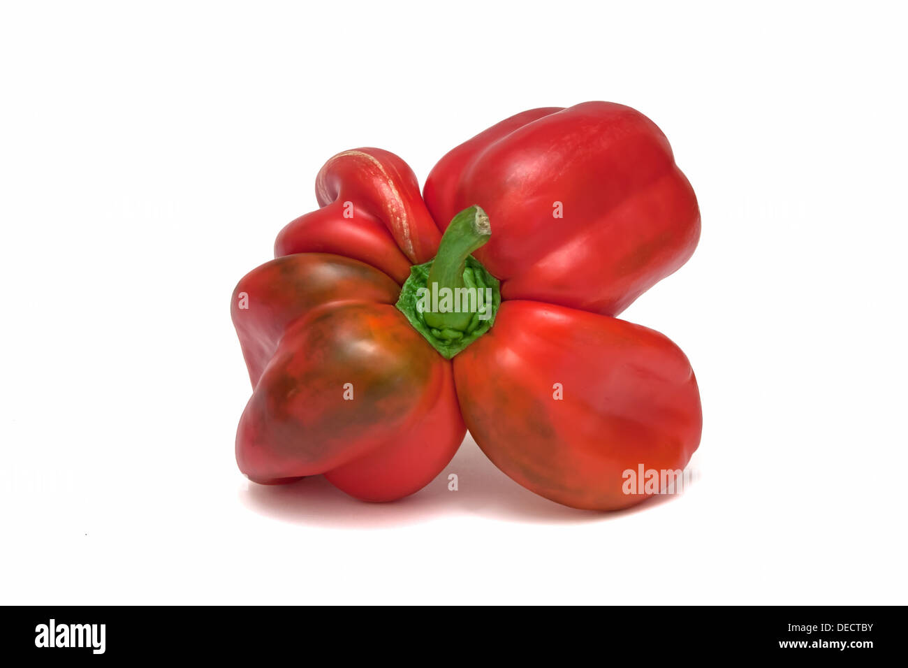 Single red sweet pepper abstract unusual shape isolated on white ...