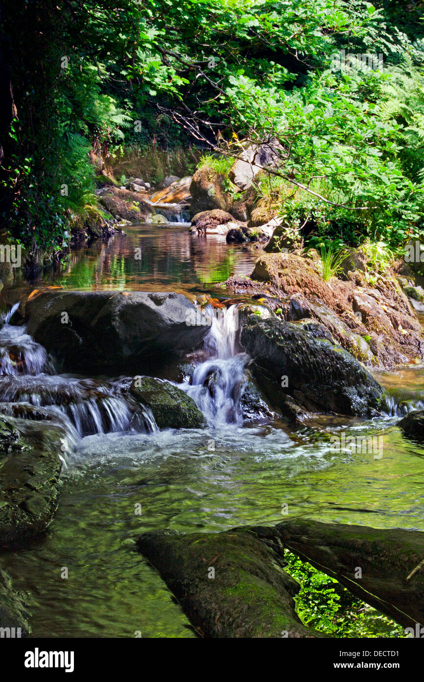 Welsh woodland setting hi-res stock photography and images - Alamy