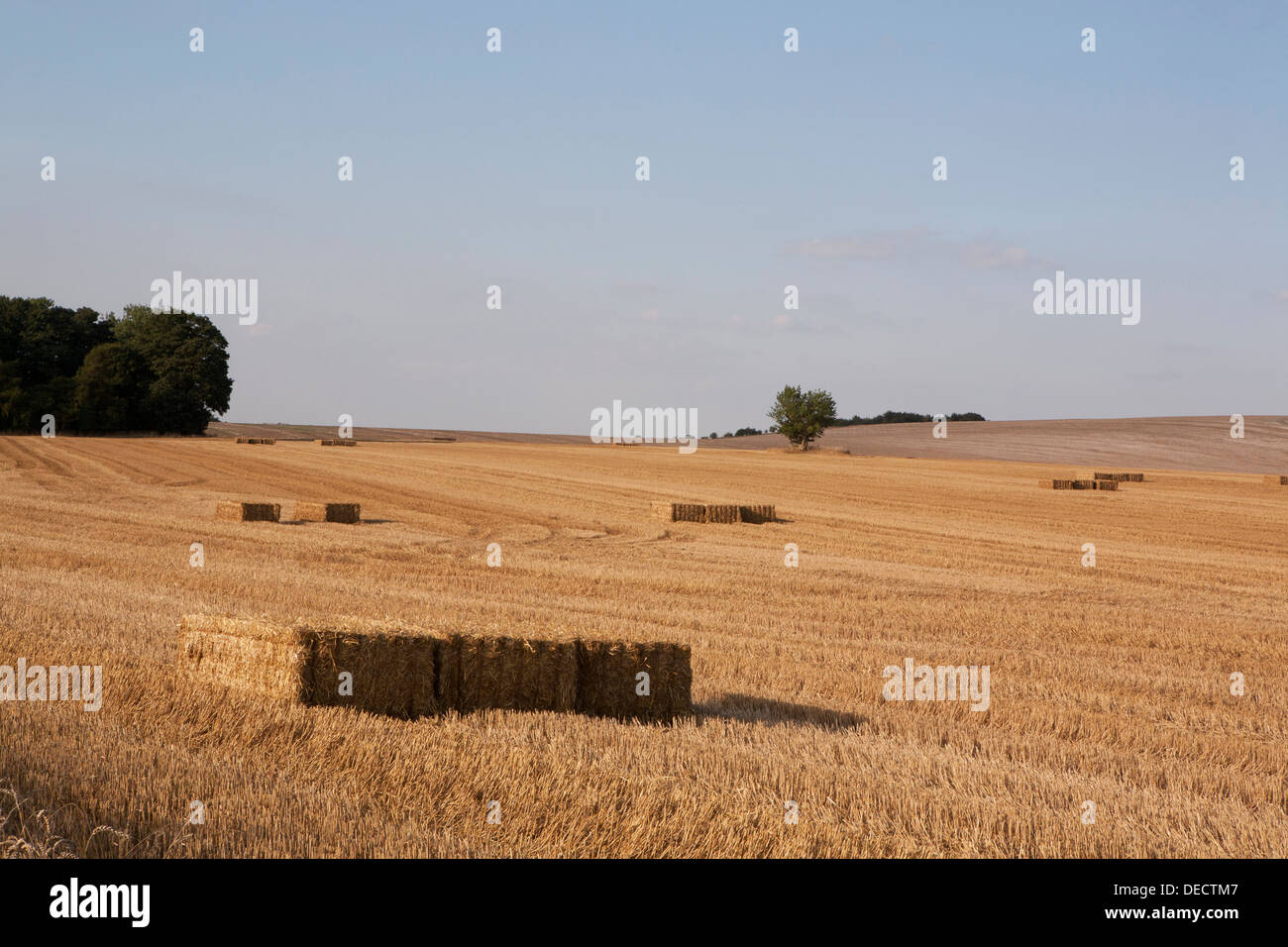 Open countryside hi-res stock photography and images - Alamy