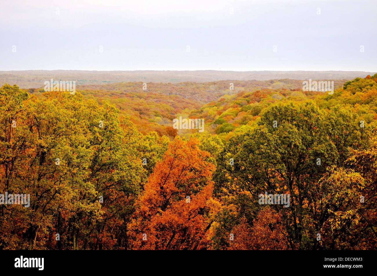 Brown county state park hi-res stock photography and images - Alamy