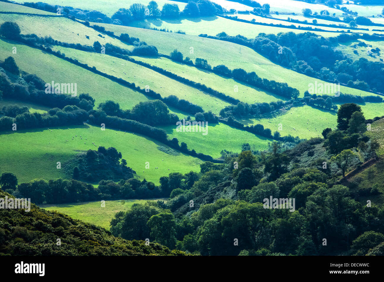 Exmoor farming hi-res stock photography and images - Alamy