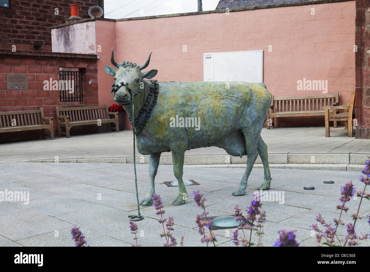 Turra coo hi-res stock photography and images - Alamy